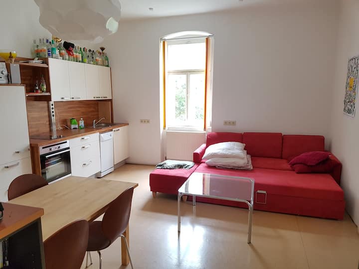Gemütliche Wohnung Im Herzen Des Salzkammerguts - Ebensee