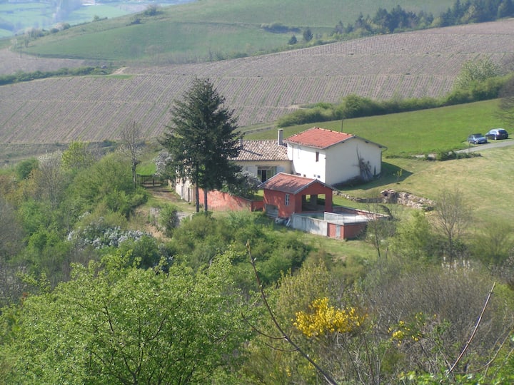 Beaujeu : Ancienne Ferme Rénovée Avec Vue - Belleville, France