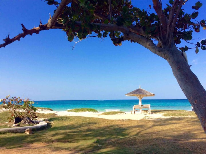 Viilla By The Sea, Steps To Beach, Cook Included. - Jamaica