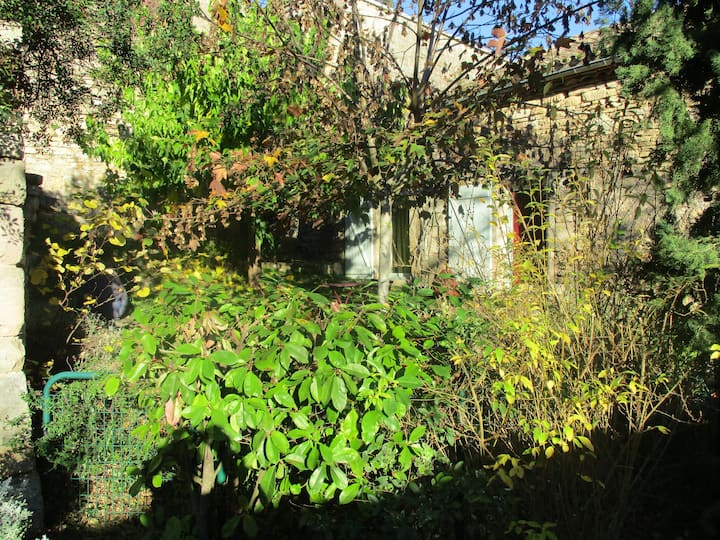 Gîte St Blaize - Cordes-sur-Ciel