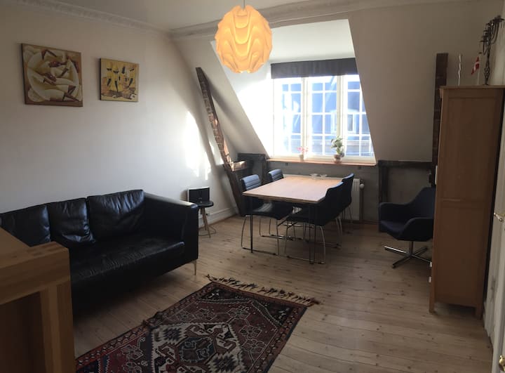 Newly Renovated 3 Room Apartment - Copenhague