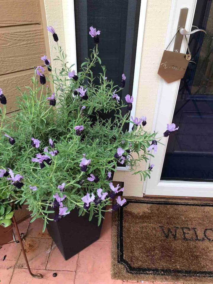 The Luna Abode - Vacaville, CA