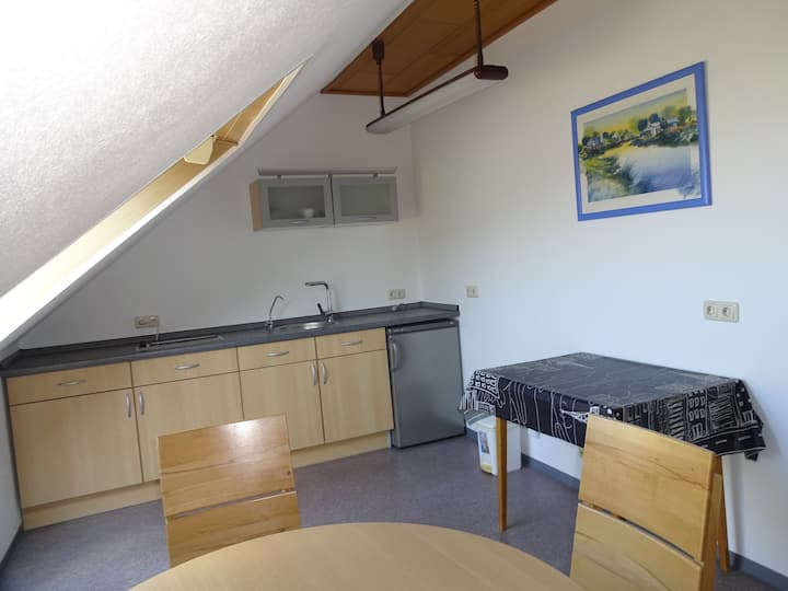 (2) Cosy Room, Quiet, English Speaking Host - Aschaffenburg