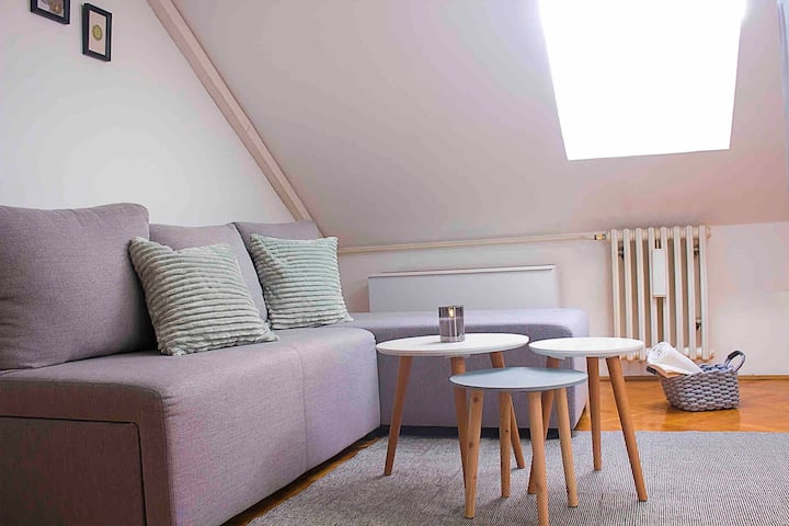 Old Town Apartment Novi Sad - Novi Sad