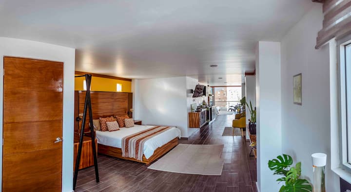 Elegante Loft En El Centro De León - León, México