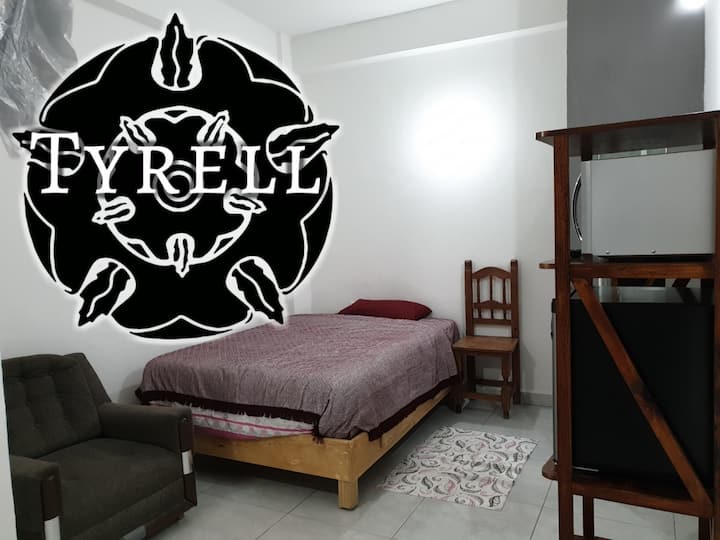 B3. Estudio Independiente - Casa Celia Tyrell - Mexico City