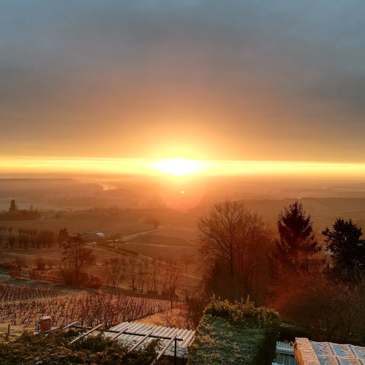 Vue Panoramique Sur Le Vignoble - Sancerre