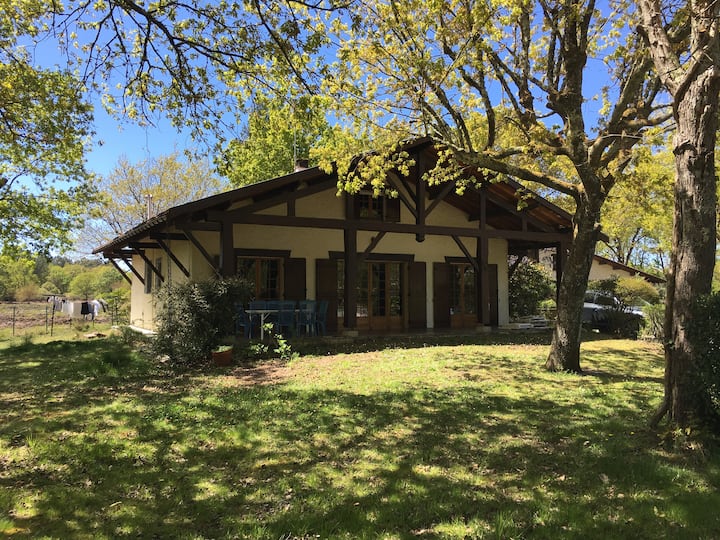 Maison Entre Lacanau Et Le Bassin D'arcachon - Le Porge