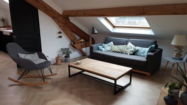 Appartement De Charme Sous Les Toits Climatisé - Royat