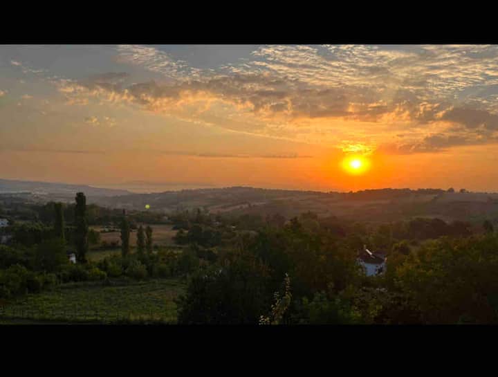 Sinop Merkeze 20km 
Muhteşem Teras - Gerze