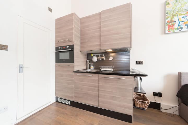 Great Studio Flat Central London - London