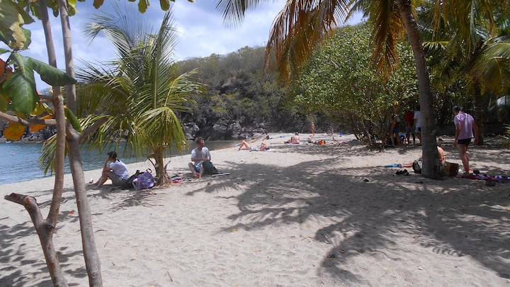 Binbin's Villa + (Location De Voitures En Option ) - Deshaies