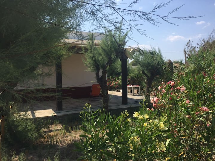 La Casa Sulla Spiaggia - Punta Prosciutto