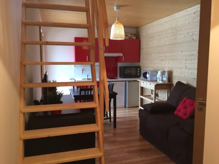 Studio Cosy Prémanon Idéal Ski Et Randonnée - Lamoura