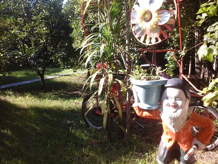 Carmelo Hostel & Garden - Uruguay