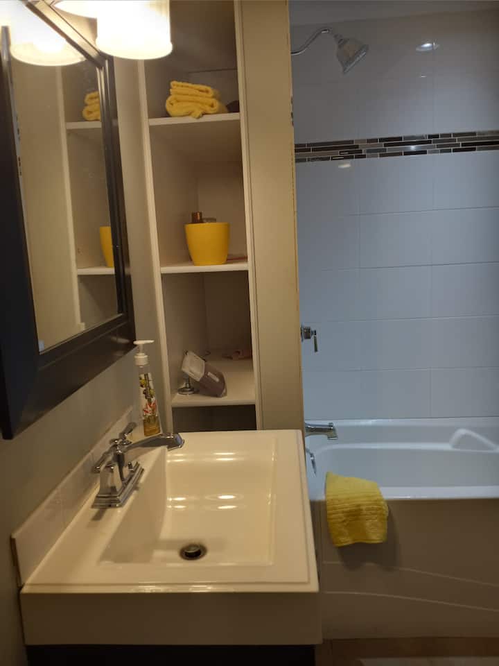 Renovated Lower Unit Sunalta District - Calgary