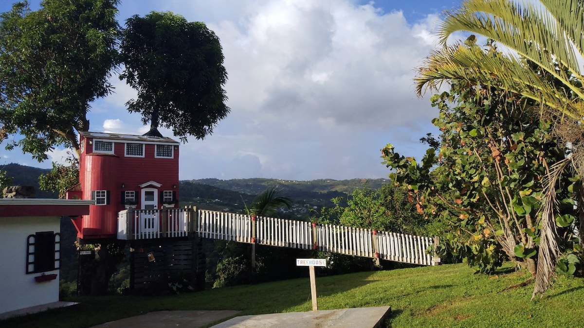 El Yunque View Tree House - Treehouses for Rent in Río Grande, Río ...