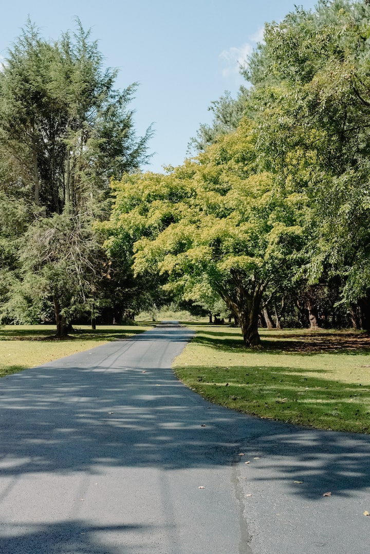 * Princeton Area *2 Bed Apt*full Kitchen*sleeps 6* - Princeton, NJ