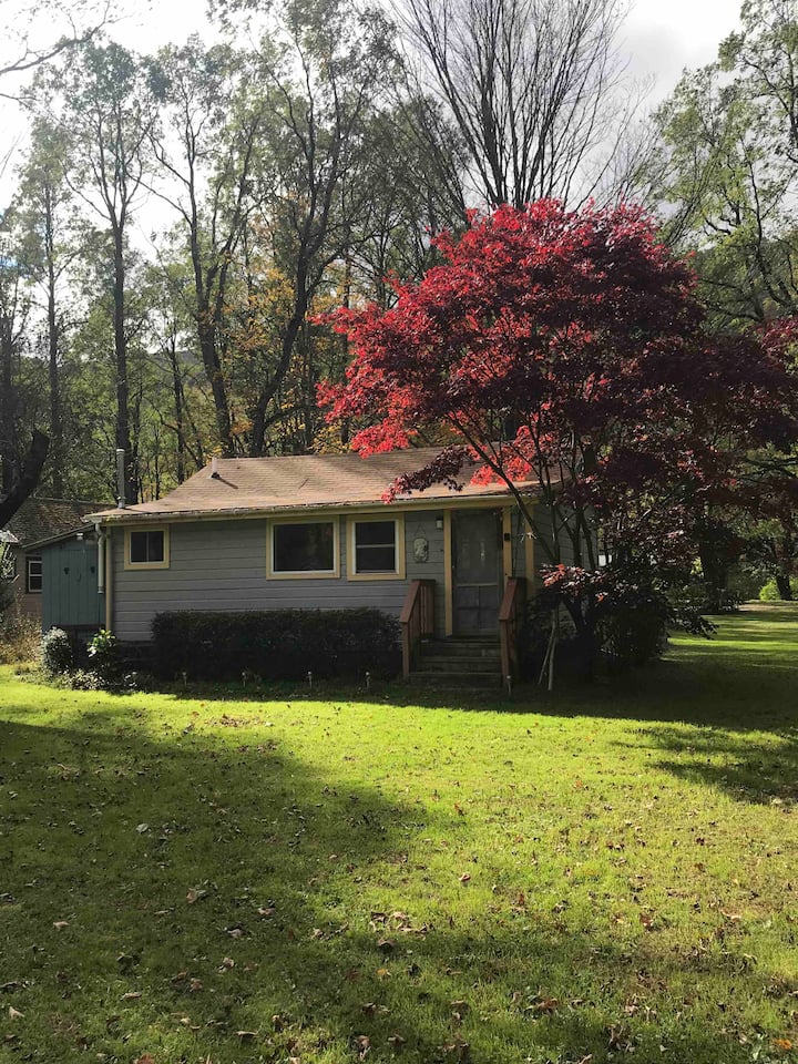 Esopus Creek Hideaway - Phoenicia, NY