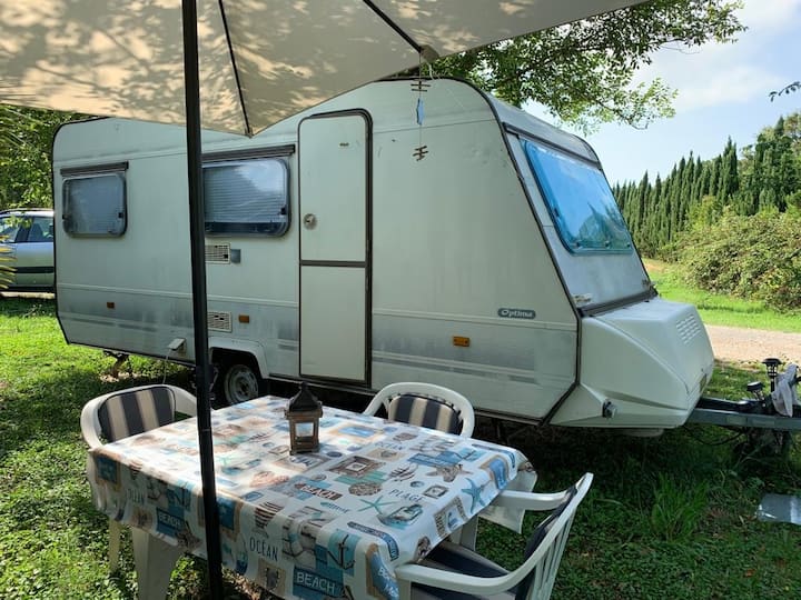Agricampeggio/roulotte Immersa Nel Verde - Piombino