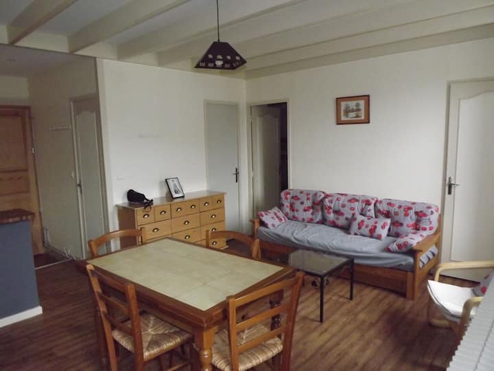 Appartement Laruns - Laruns