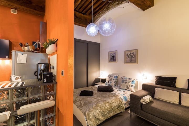Appartement à 3 Min Des Jacobins - Lione