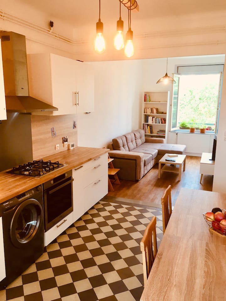 Appartement T2 Tout Confort - Nancy