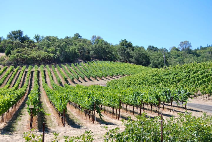 Geyserville Vineyard Cottage - Cloverdale, CA