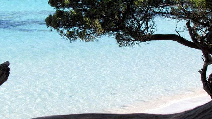 Bilocale 400 Mt Mare In Residence Con Piscina - Portobello