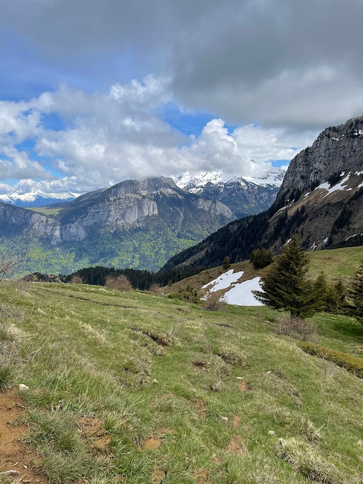 Au Cœur Des Alpes 4 - La Roche-sur-Foron