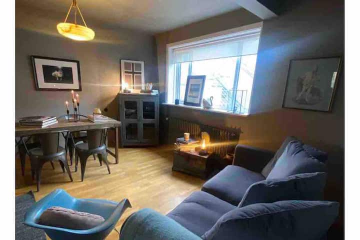 Cozy Apartment In Downtown Reykjavik - Reikiavik