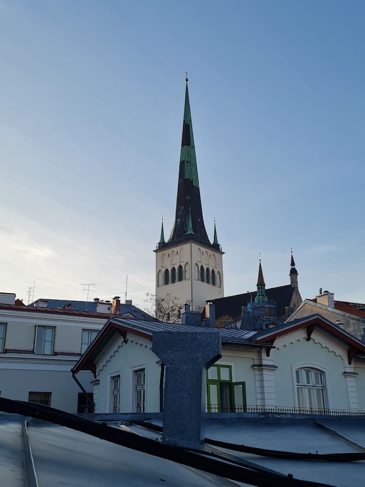 Nr. 7 Olevimägi Terrace - Tallinn