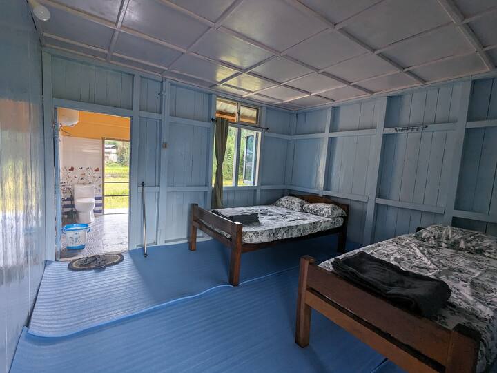 Bed & Breakfast Room 2 - Ziro