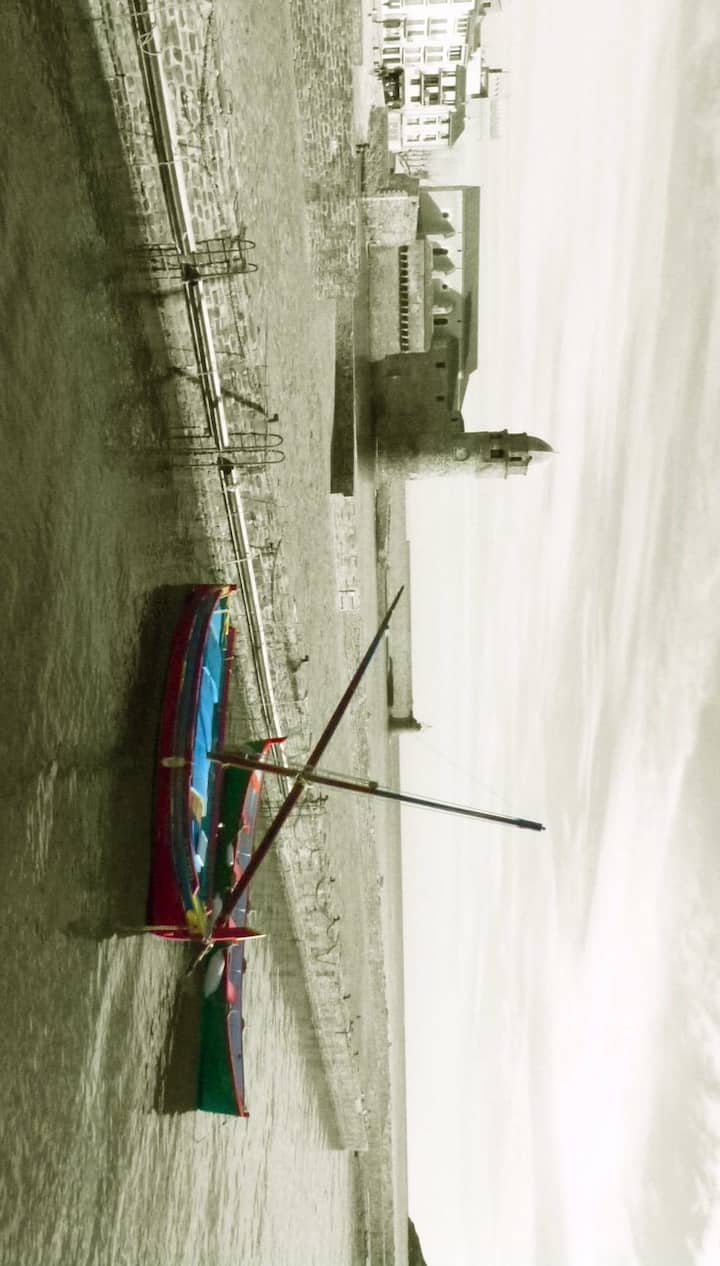 Colliourine - Collioure