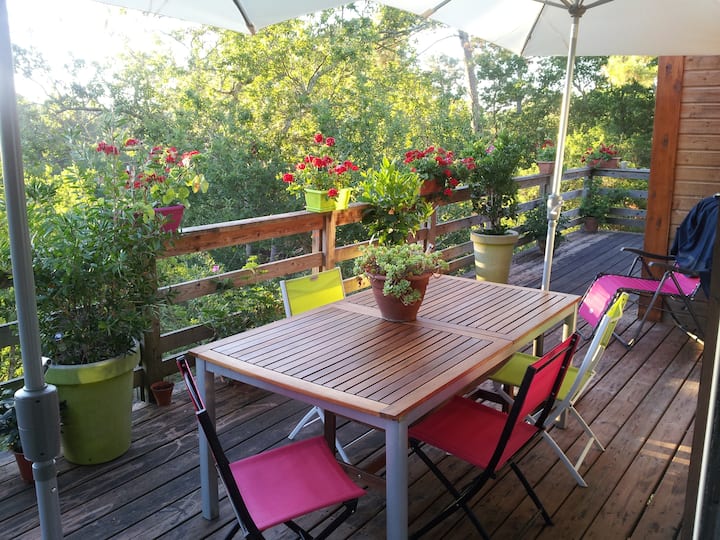 Chalet Bois Sur Pilotis - Sanguinet