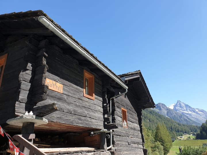Zinal : Chalet/appartement Atypique - Zinal