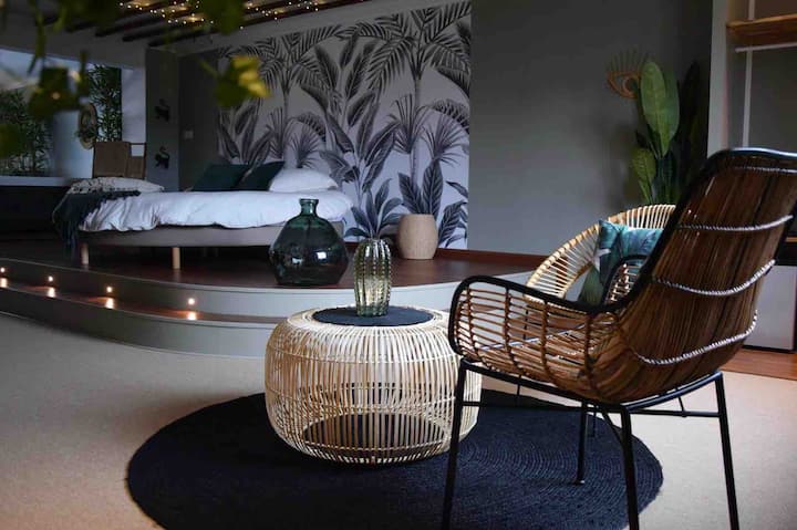 Suite Jungle - Hardelot-Plage