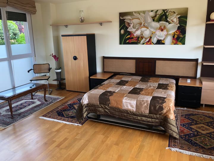 Loft Con Terraza Y Jardín - Pamplona, España