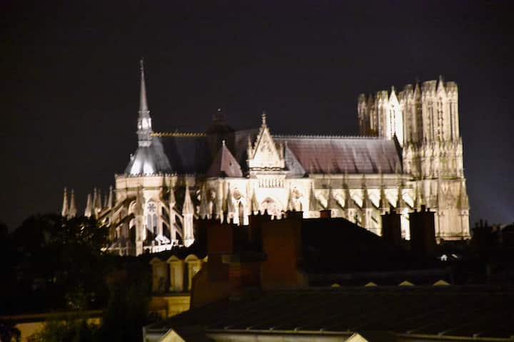 Vue Imprenable Cathédrale / Maisons De Champagne - Reims