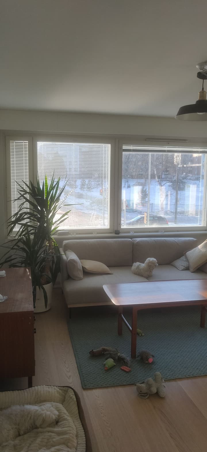 Stunning 1-bedroom Flat In The Center Of Rovaniemi - Rovaniemi