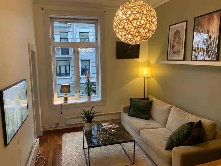 Cosy Apartment In St.hanshaugen - Oslo