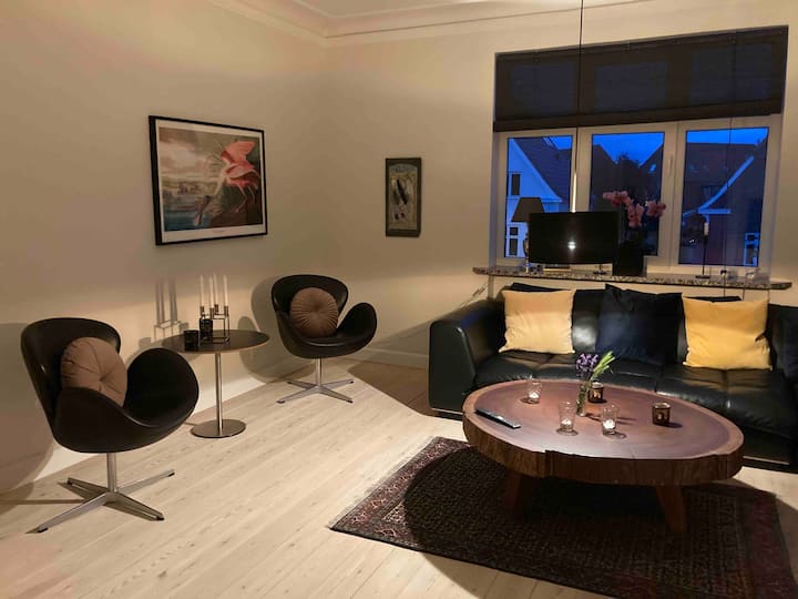 Whole App With Big Bedroom And Balkony. - Odense