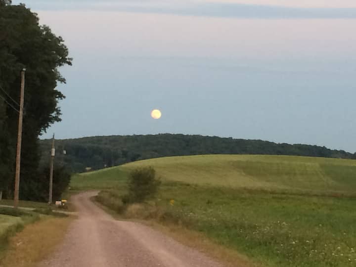 "Out There" Wooded Cabin Near Ski Resorts & Parks - Seven Springs