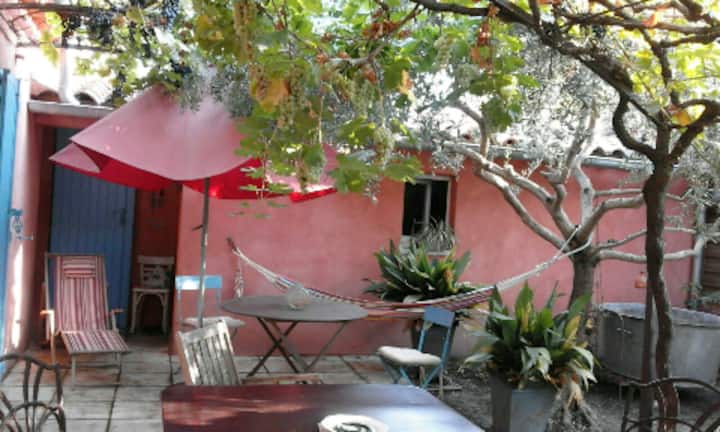 Mon Mentos Adoré - Cavaillon