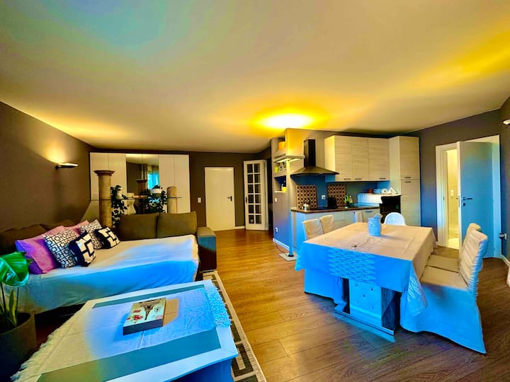 Bissone Apartment 316 - Lugano