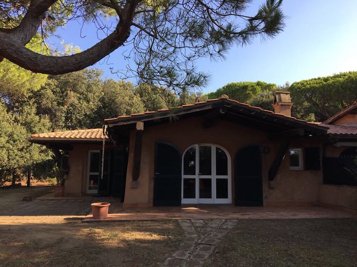 Esclusiva Villa In Riva Al Mare! - Castiglione della Pescaia