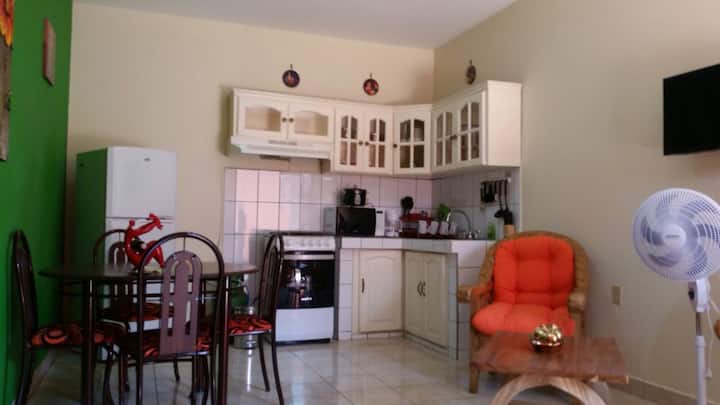 Private Apartment (A.c. In Bedroom) - Managua