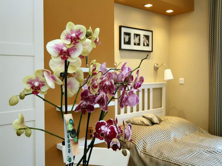 Heated & Air-conditioned Flat Near Thermal Baths - Eger