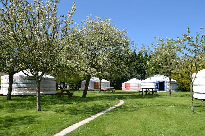 Yourte 4-6 Personnes - Saint-Valery-en-Caux