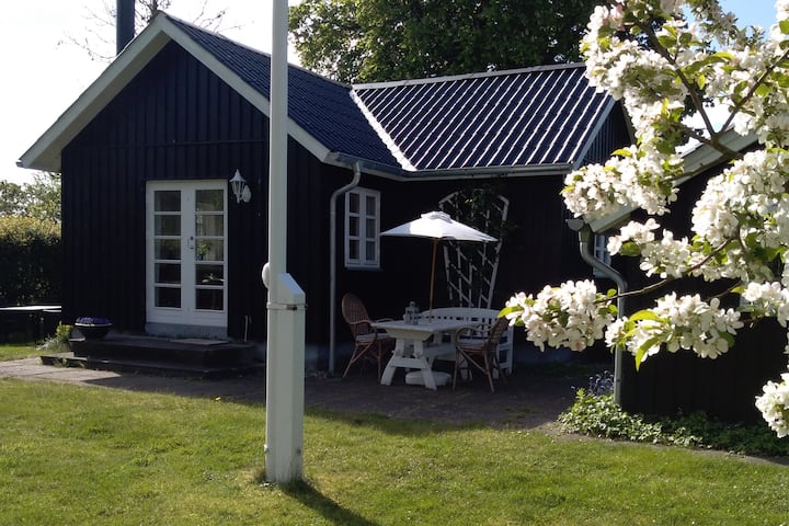 Beach 100m-8 Km To The Cathedral City Of Haderslev - Dänemark